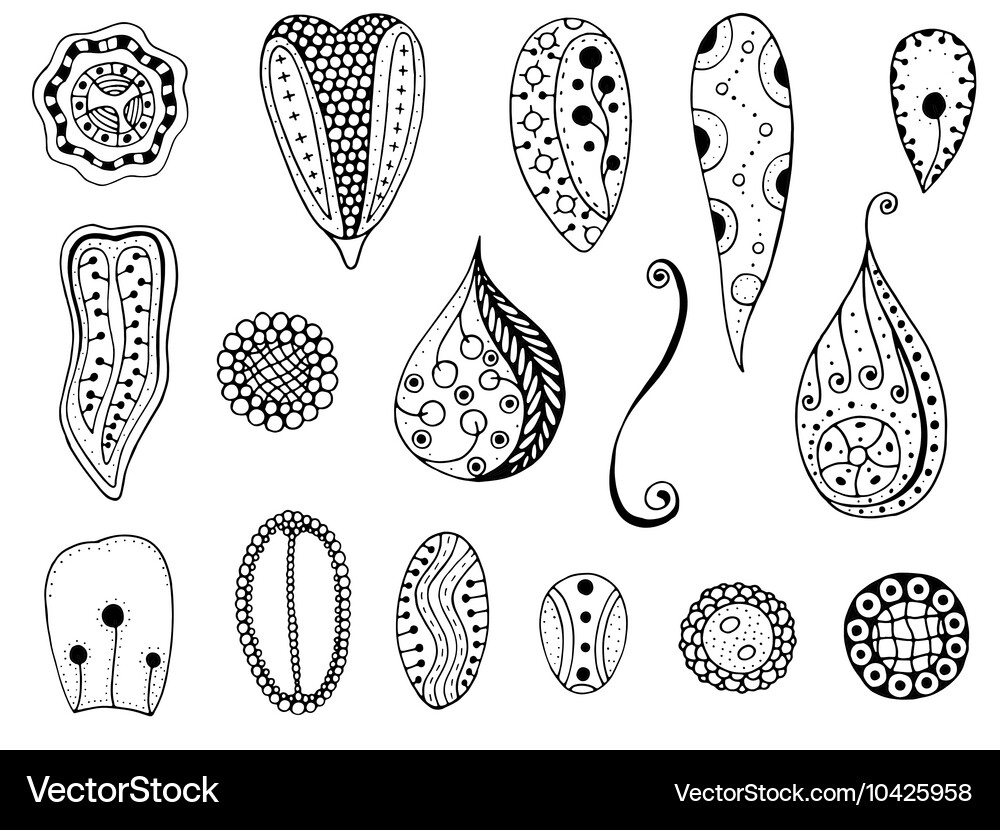 Hand drawn leaf doodle set Royalty Free Vector Image