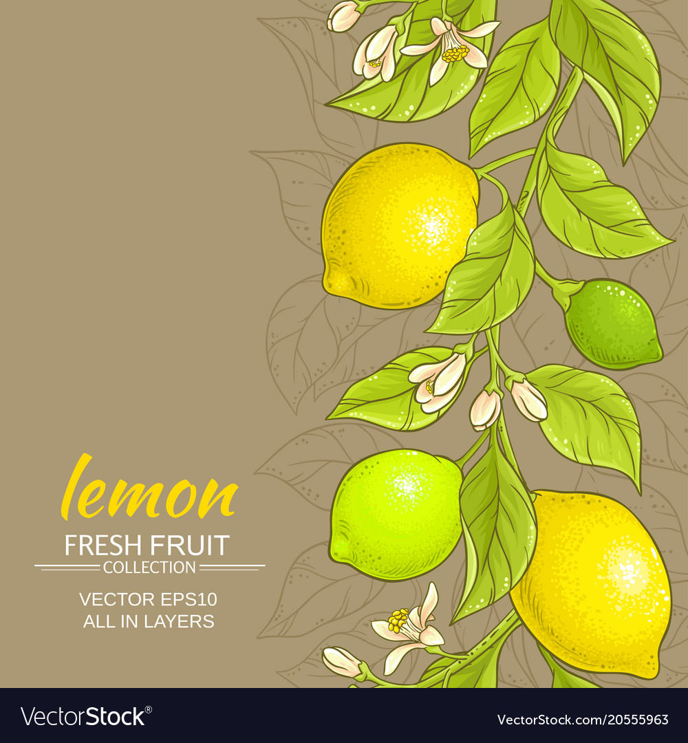 Lemon background Royalty Free Vector Image - VectorStock