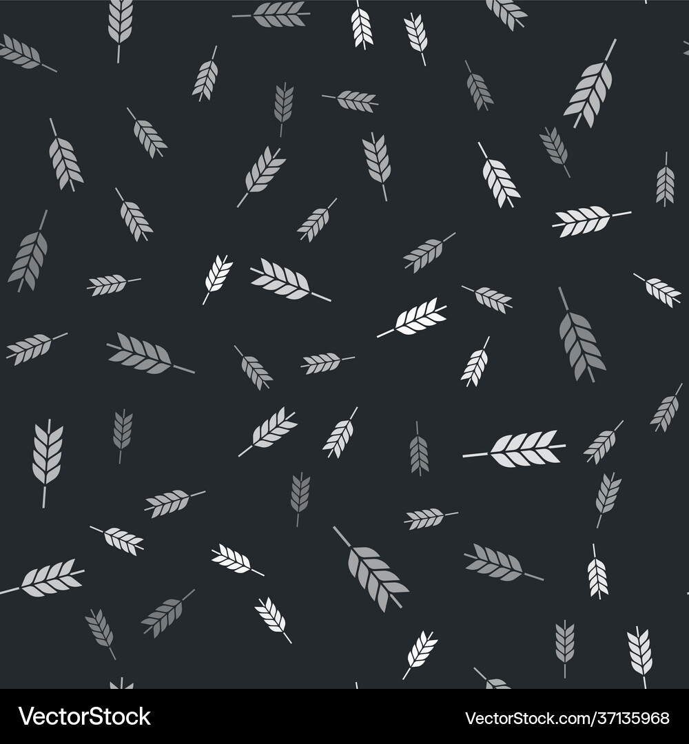 Grey cereals set with rice wheat corn oats rye Vector Image