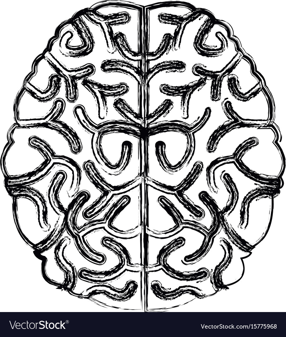 Human brain idea creativity thinking memory image Vector Image