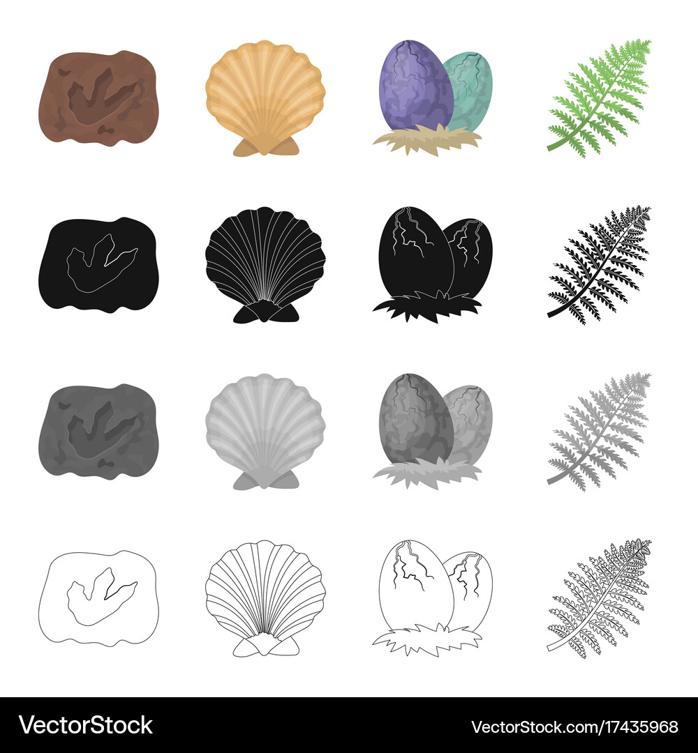 Petrified trail prehistoric sea shell dinosaur Vector Image