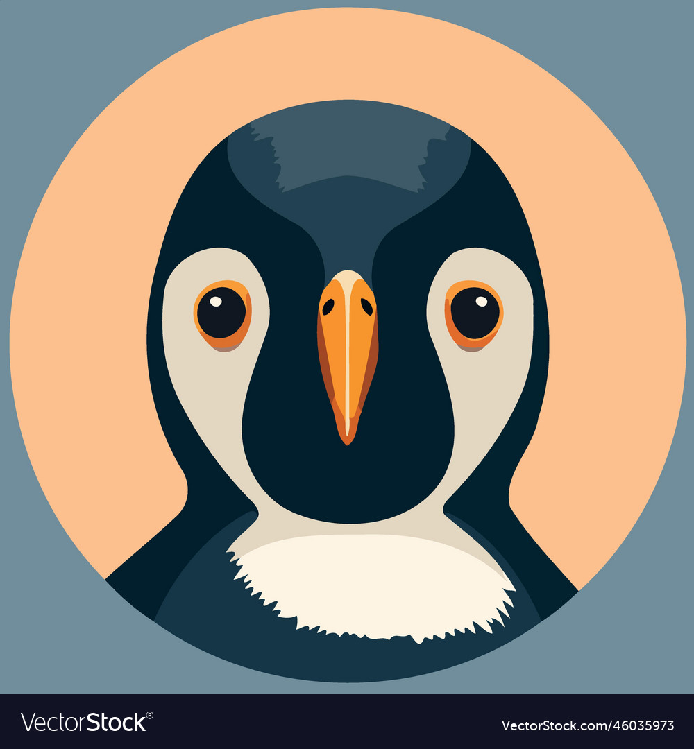 Animal bird cute common penguin Royalty Free Vector Image
