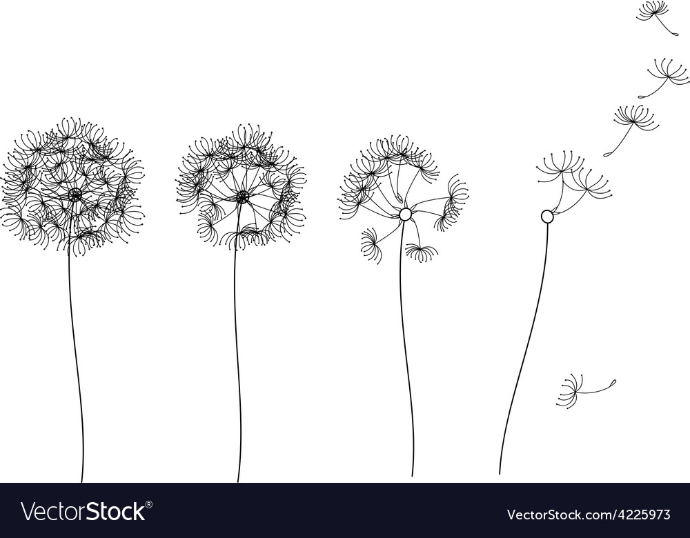 Dandelion Royalty Free Vector Image - VectorStock