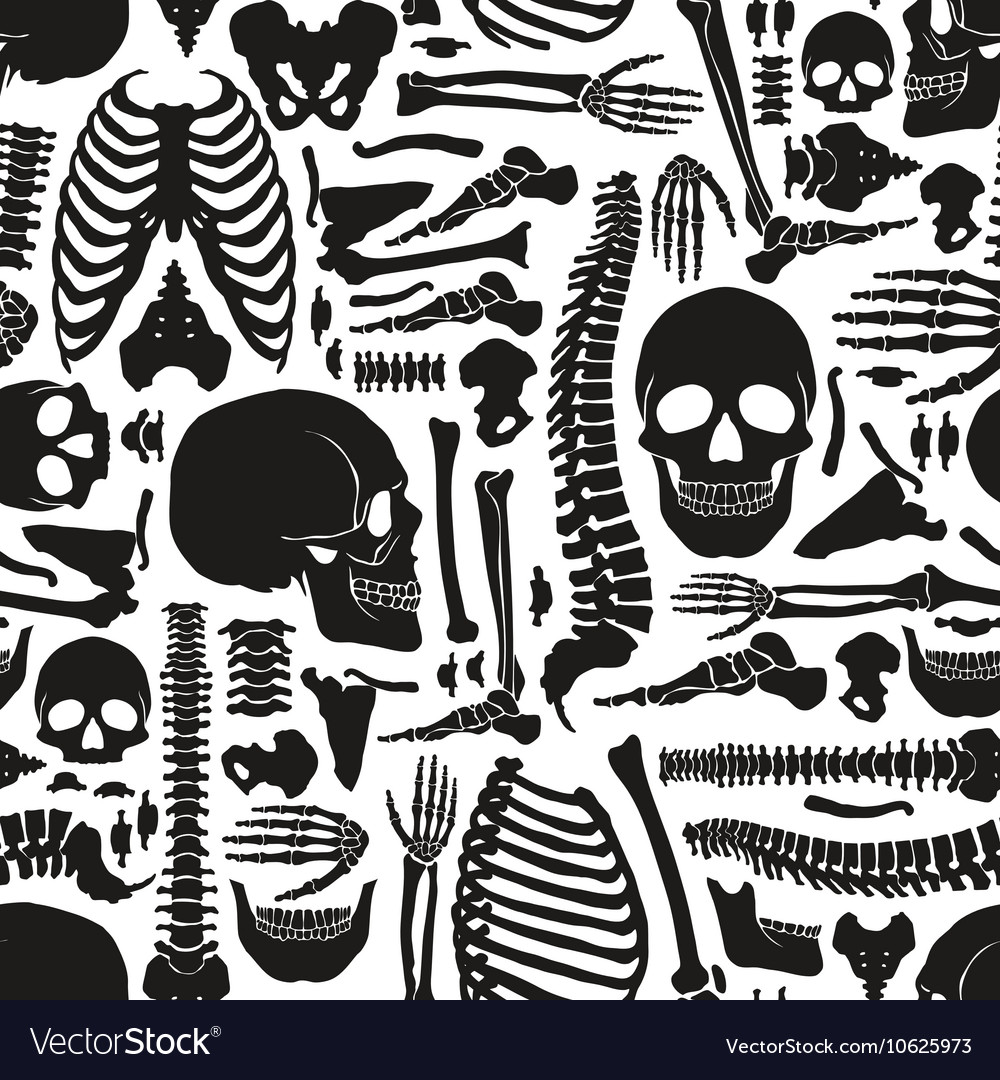 Human bones skeleton pattern Royalty Free Vector Image
