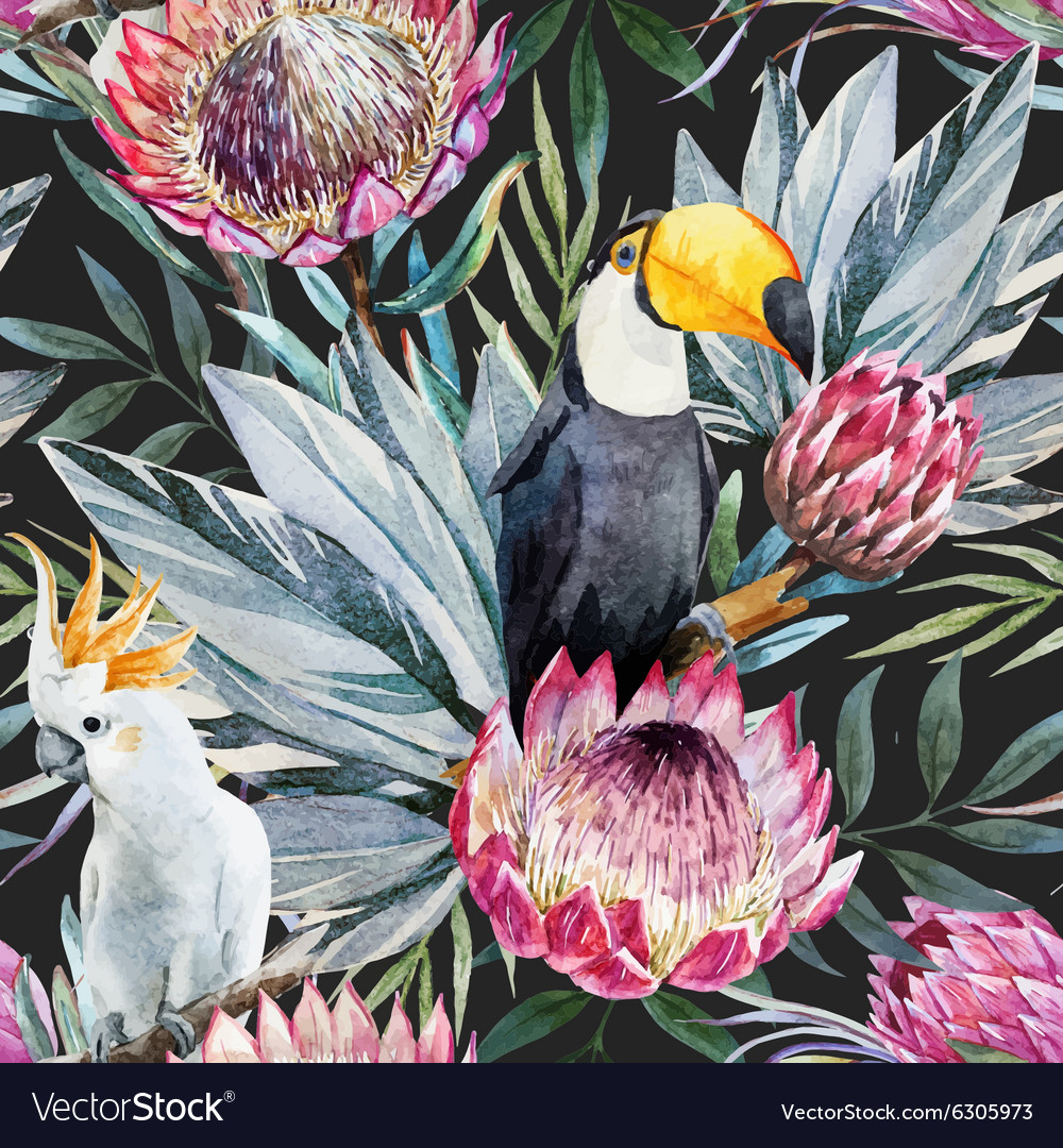 Tropical protea pattern Royalty Free Vector Image