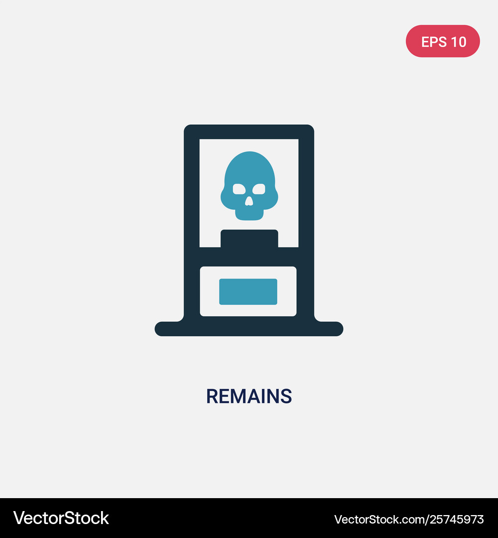 Two color remains icon from museum concept Vector Image