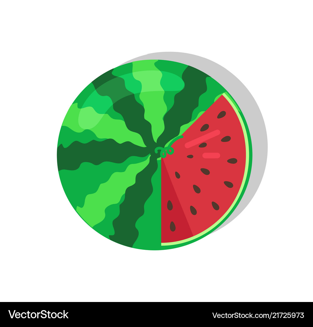 Watermelon with seeds sweet Royalty Free Vector Image