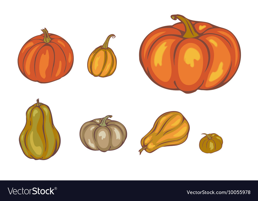 Pumpkin Royalty Free Vector Image - VectorStock