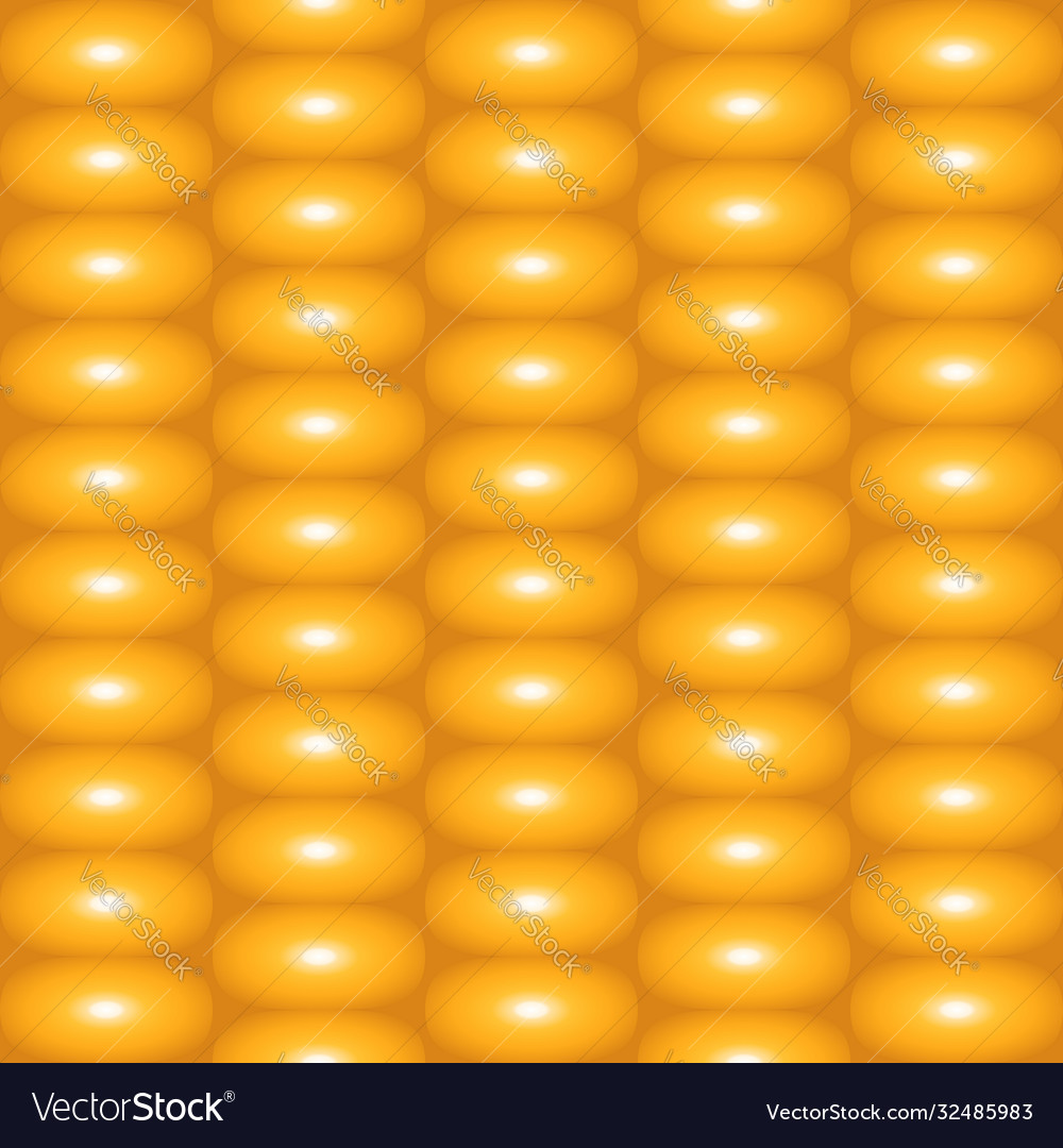 Corn background Royalty Free Vector Image - VectorStock