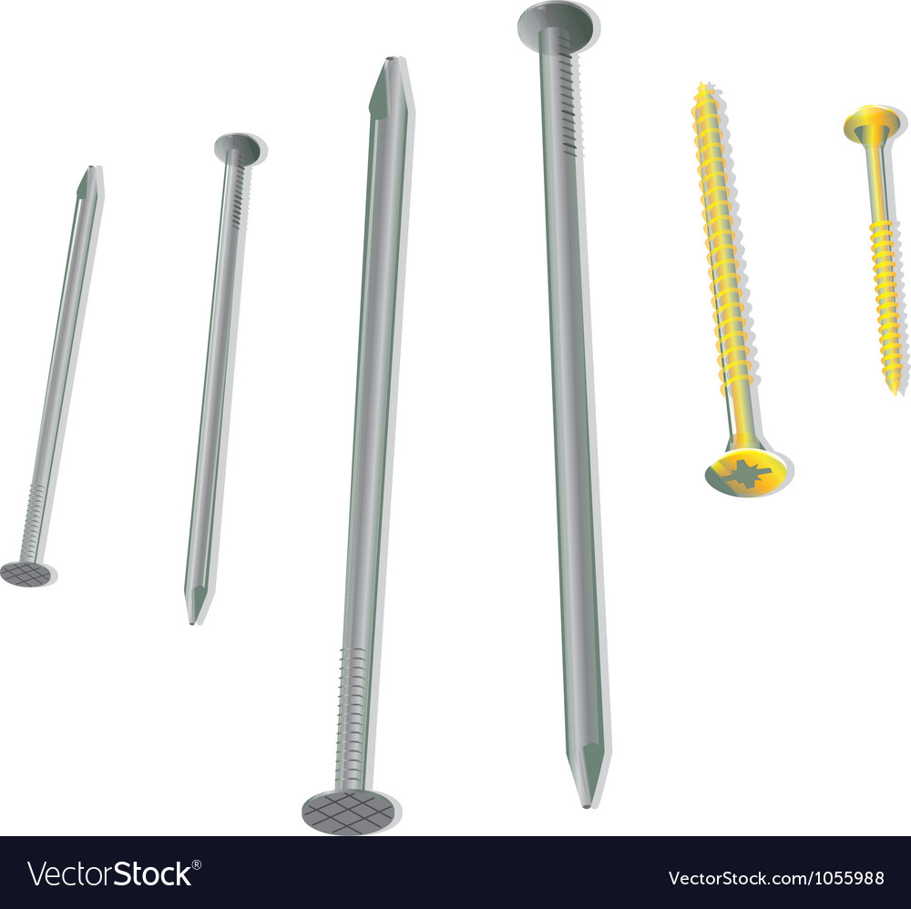 Nails Royalty Free Vector Image - VectorStock