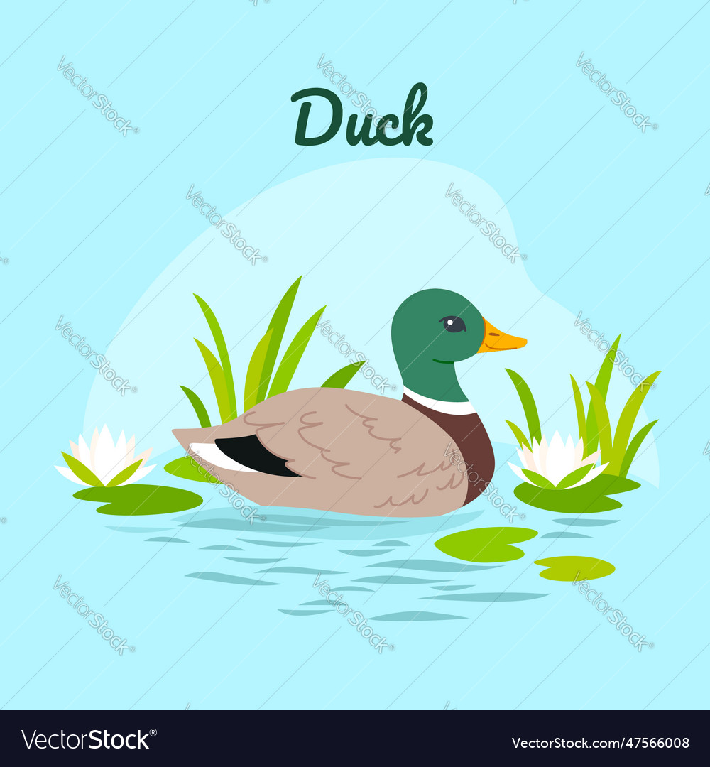 Duck Royalty Free Vector Image - VectorStock
