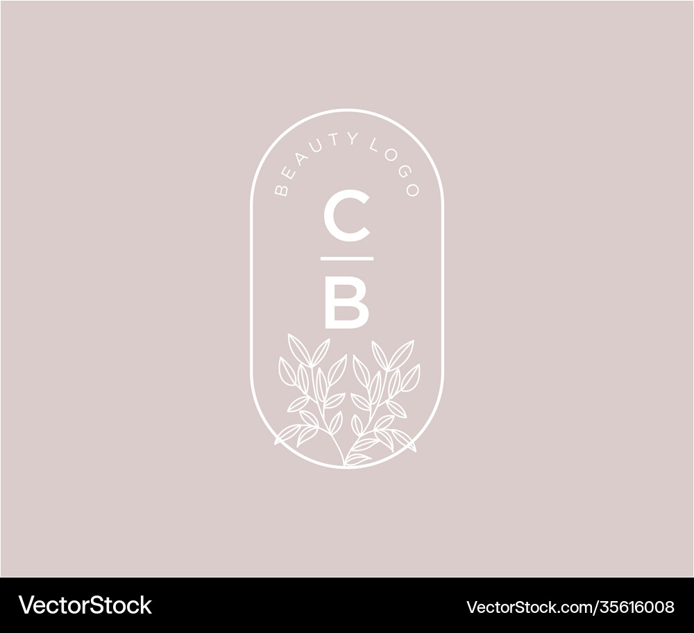 Initial cb letters beautiful floral feminine Vector Image