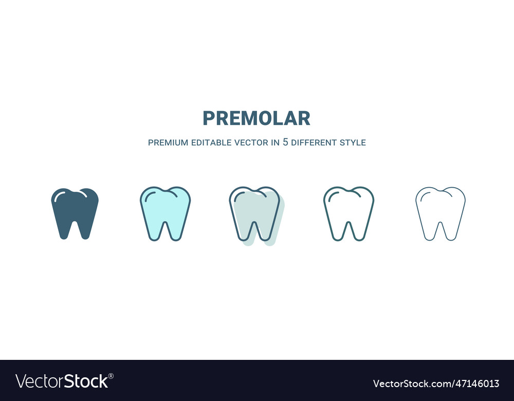 Premolar icon in 5 different style outline filled Vector Image