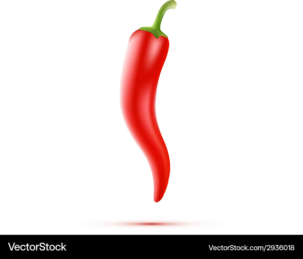 Chili peppers isolated on white background Vector Image