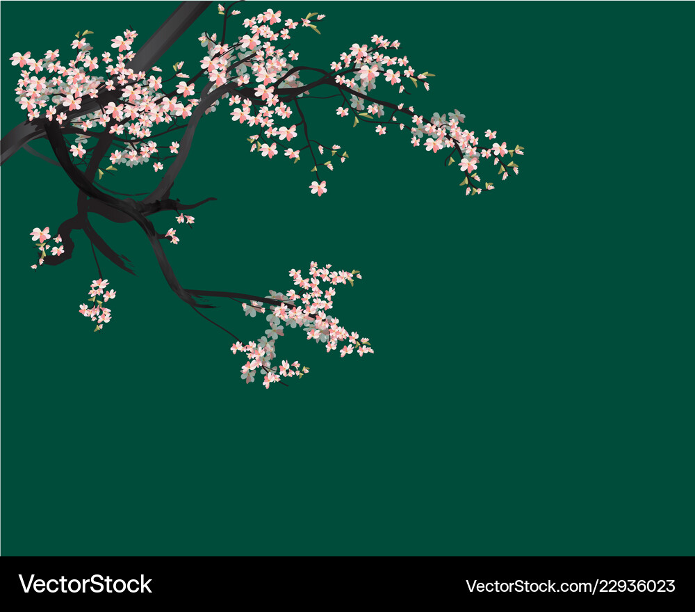 Watercolor sakura frame background with blossom Vector Image