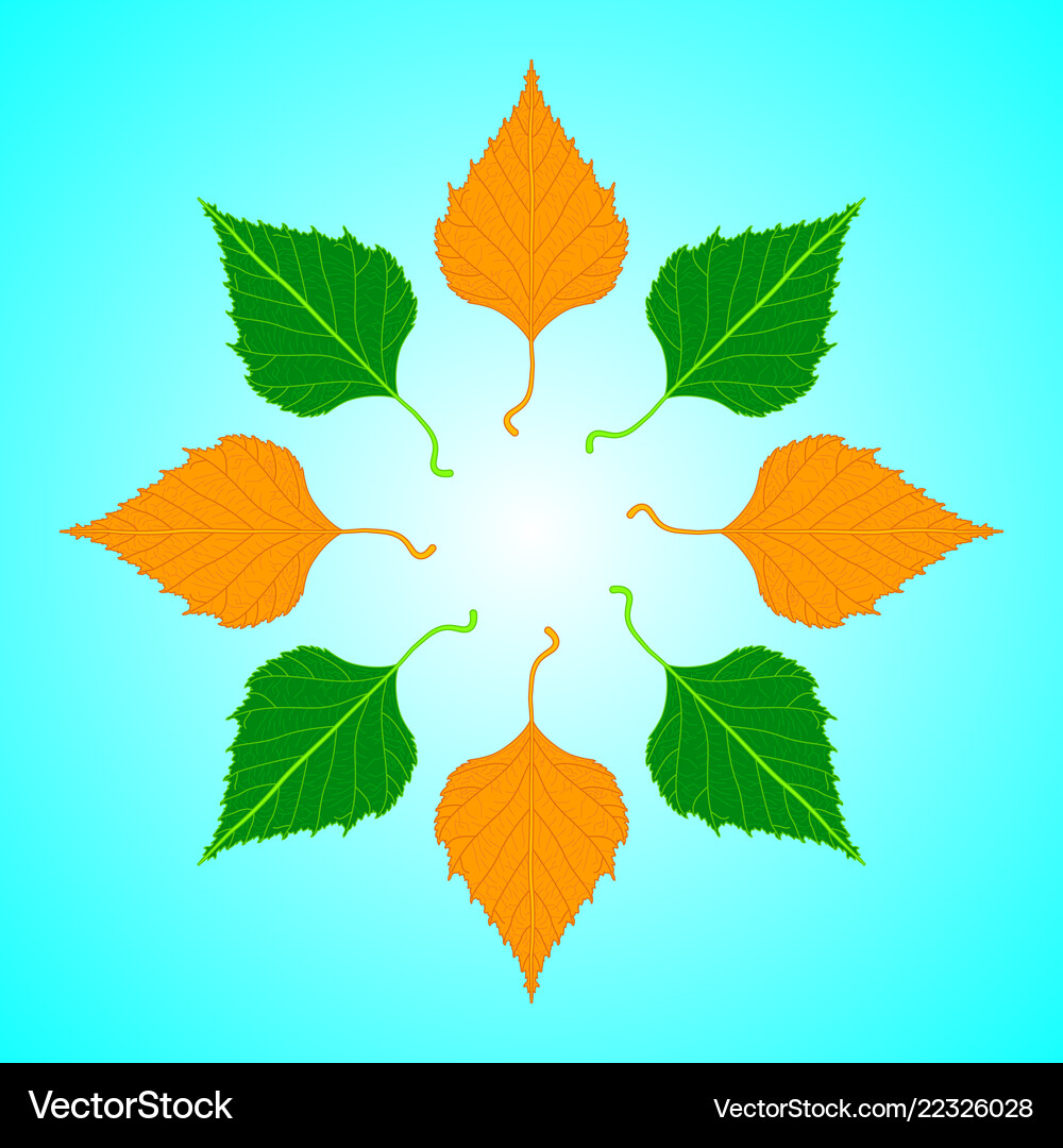 Circle of birch leaves Royalty Free Vector Image