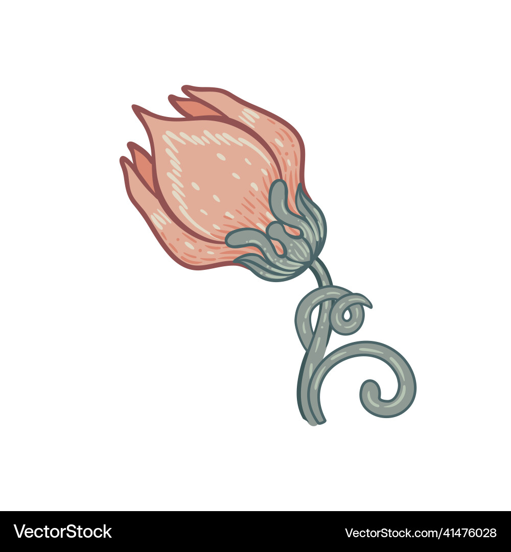 Floral vintage element isolated enchanted Vector Image