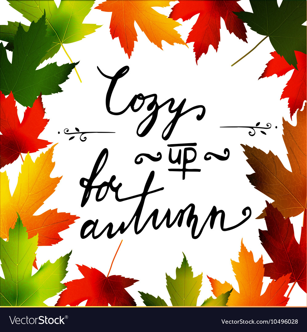 Maple leaf frame Royalty Free Vector Image - VectorStock