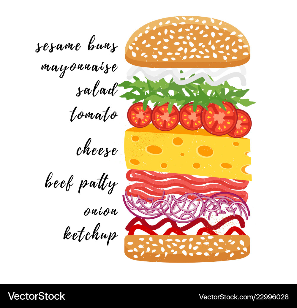 Poster lettering burger hand drawn typography Vector Image