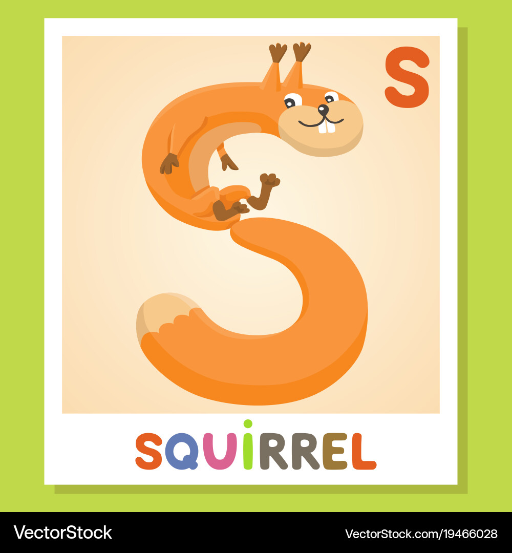 S is for squirrel letter s squirrel cute Vector Image