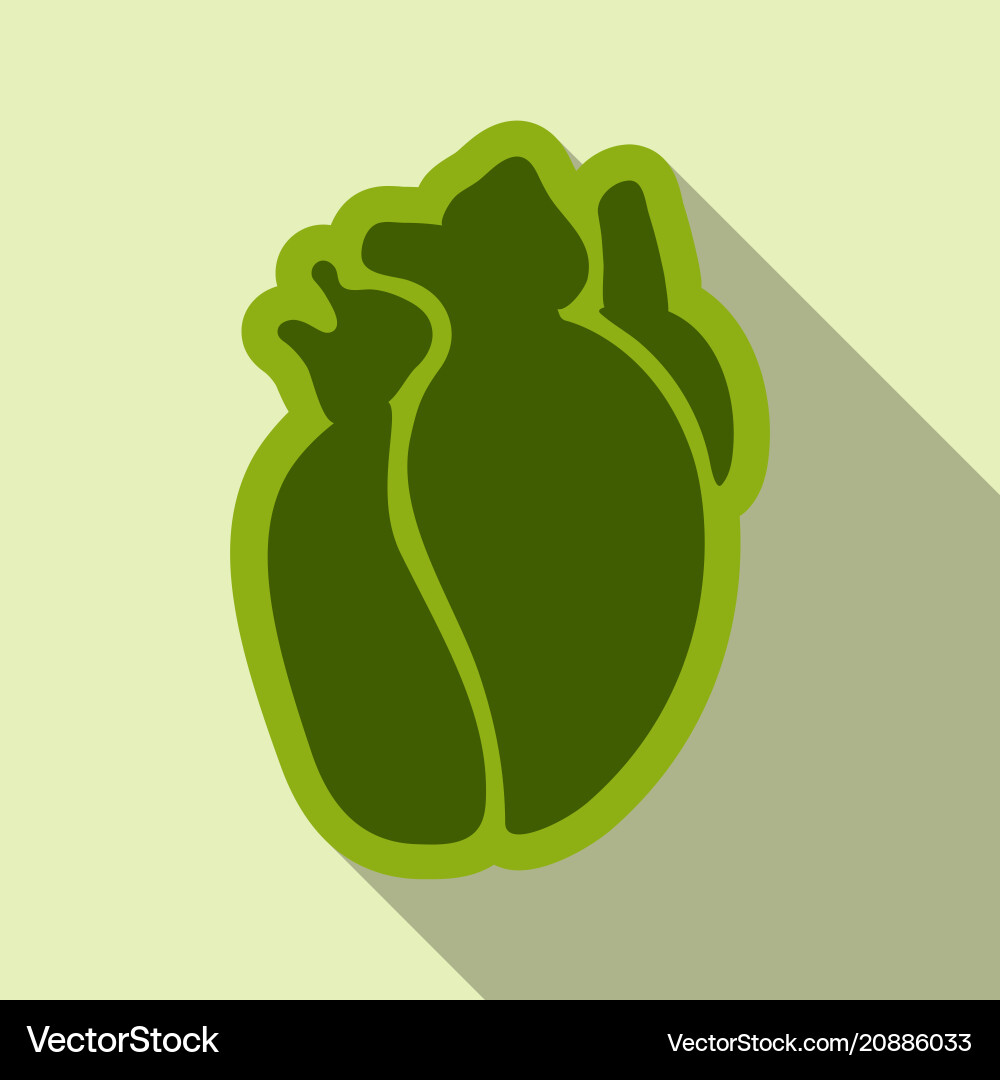 Human heart flat style simple of internal Vector Image