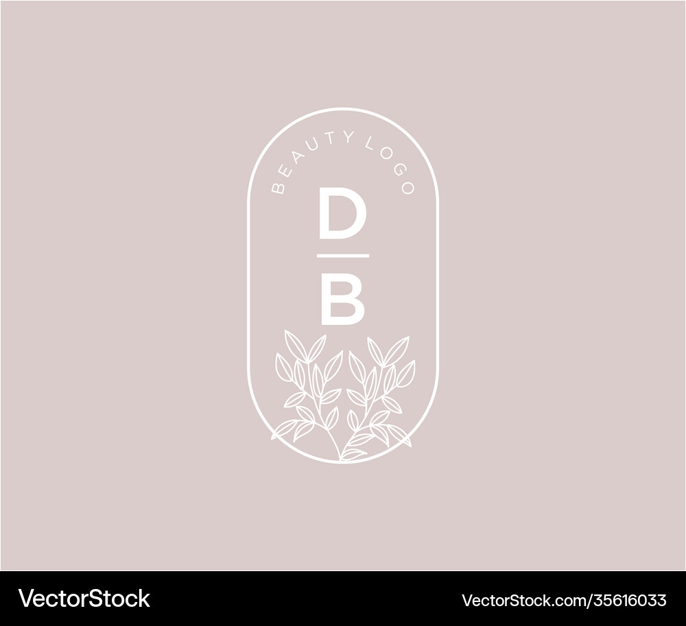 Initial db letters beautiful floral feminine Vector Image