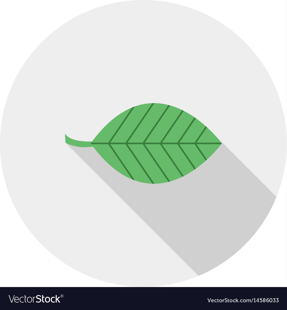 Leaf i Royalty Free Vector Image - VectorStock