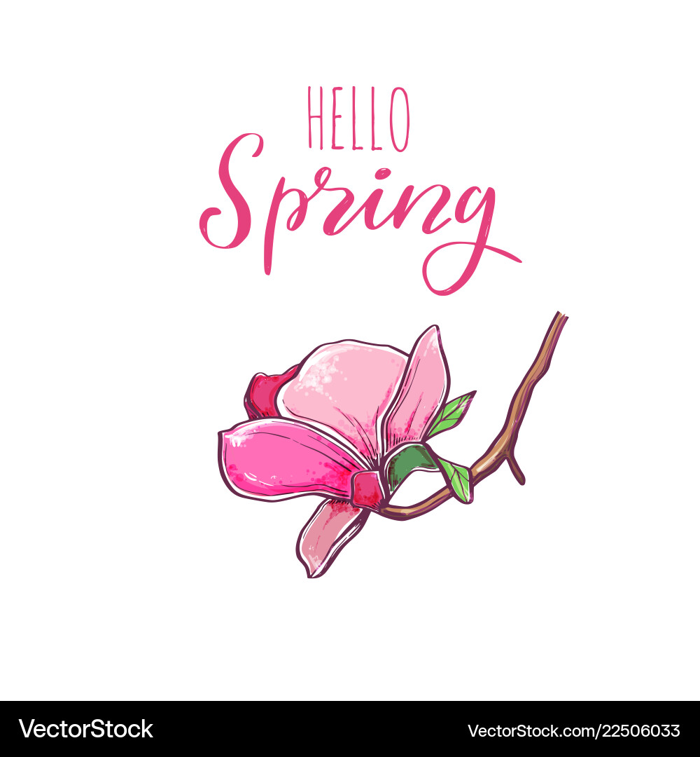 Magnolia flower with hello spring lettering Vector Image