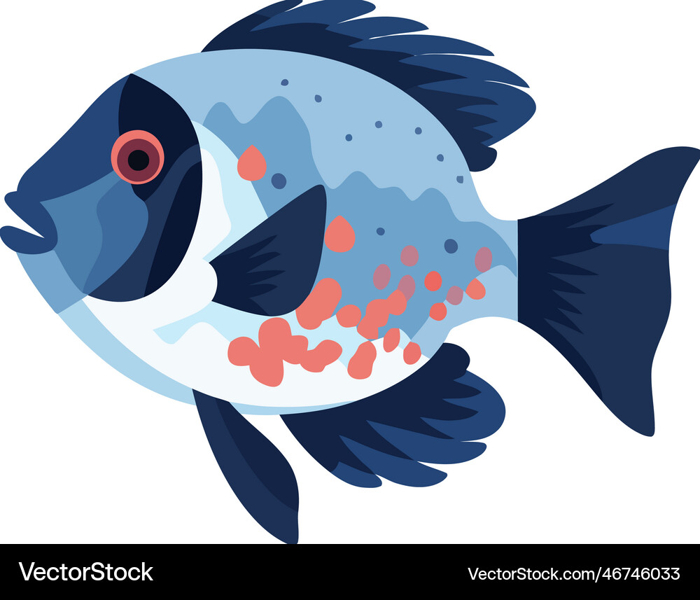 Swimming fish life underwater Royalty Free Vector Image