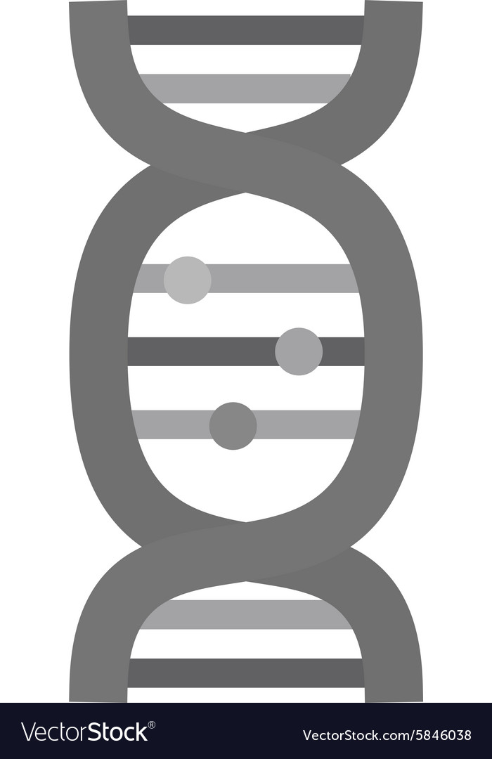 Dna sample Royalty Free Vector Image - VectorStock