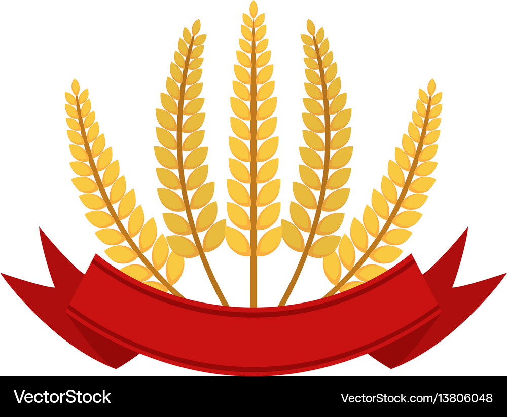 Bunch of wheat with ribbon frame flat style Vector Image