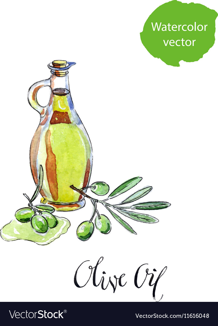 Olive oil Royalty Free Vector Image - VectorStock Olive oil Royalty Free Vector Image - VectorStock