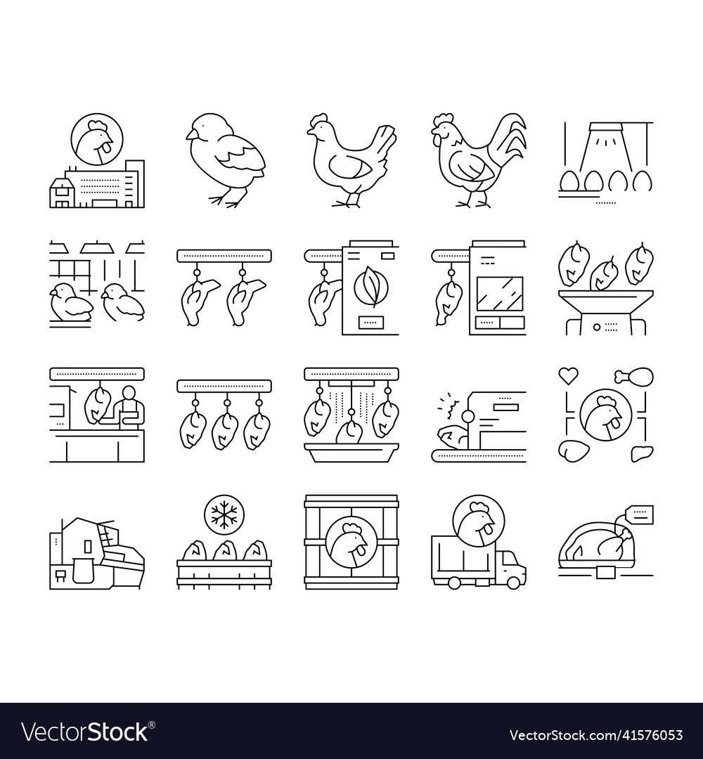 Chicken Processing Icons Royalty Free Vector Image