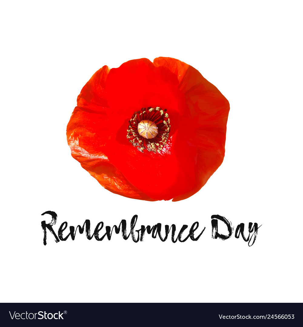 Remembrance day card banner anzac Royalty Free Vector Image