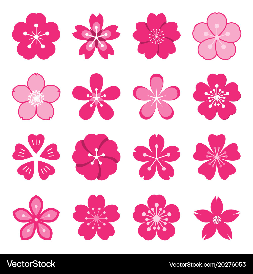 Sakura icons isolated on a white background Vector Image