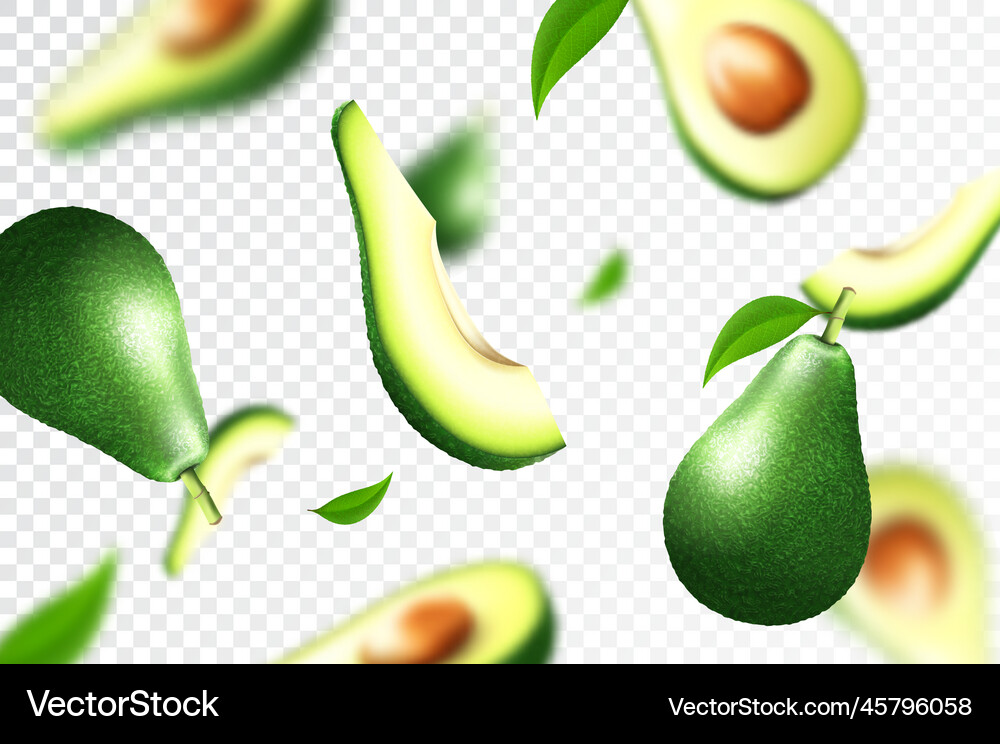 Avocado background flying whole half and slices Vector Image