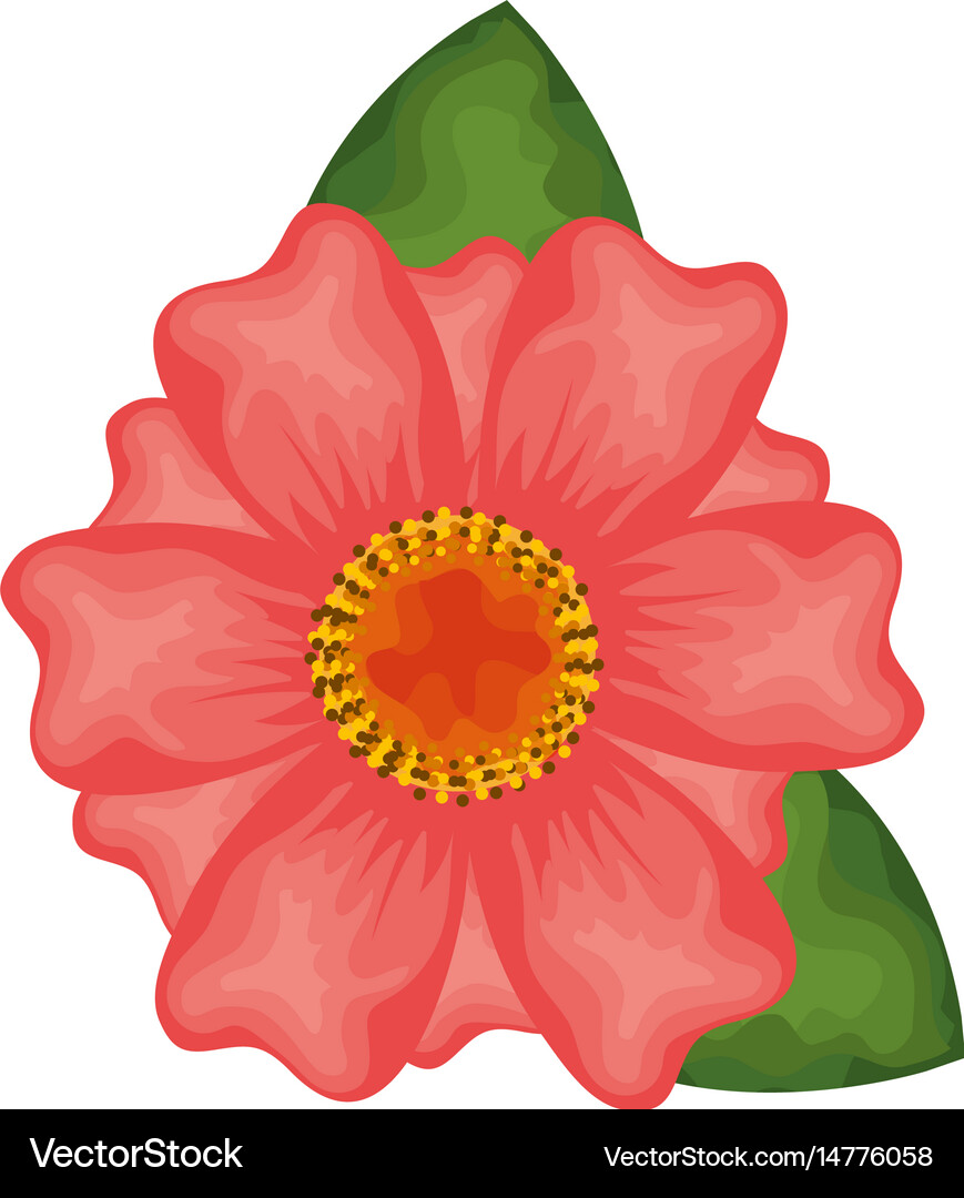 Beautiful flower decoration icon Royalty Free Vector Image