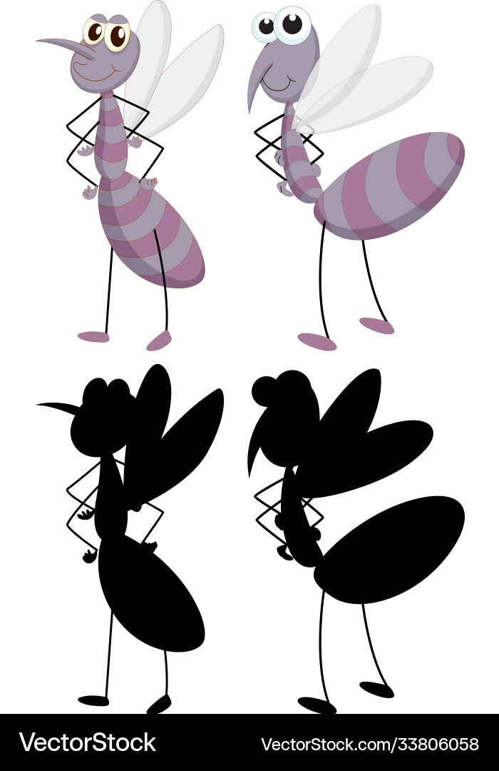 Set insect cartoon character and its Royalty Free Vector
