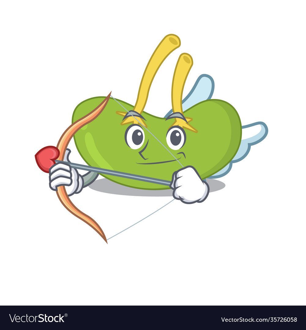Spleen in sweet romantic cupid cartoon drawing Vector Image Spleen in sweet romantic cupid cartoon drawing Vector Image
