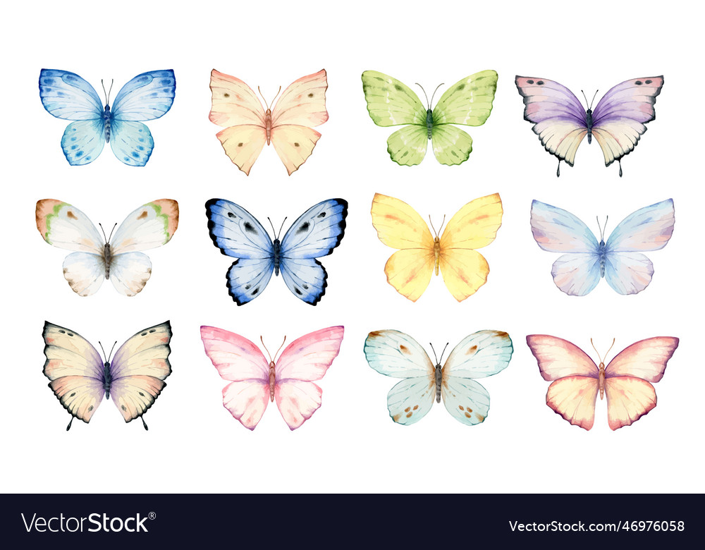 Watercolor set of bright hand painted butterflies Vector Image