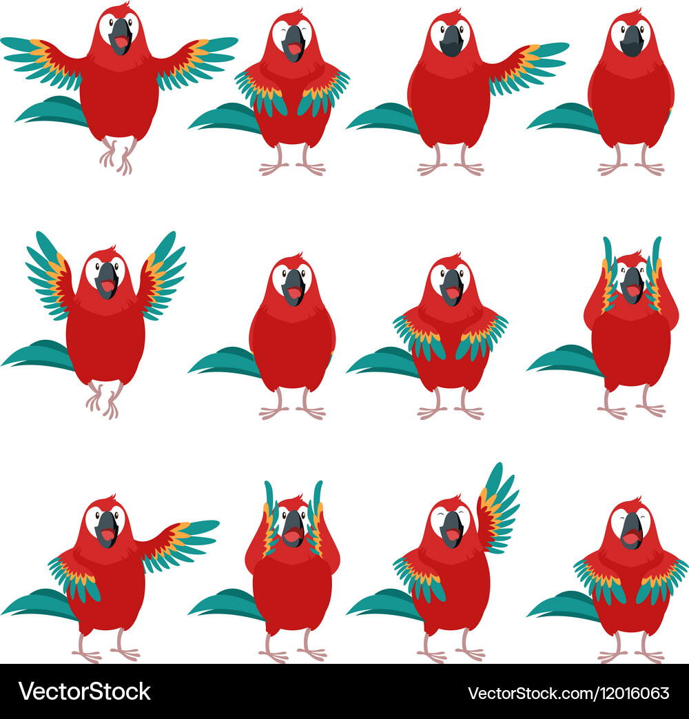Flat set of Macaw icons Royalty Free Vector Image