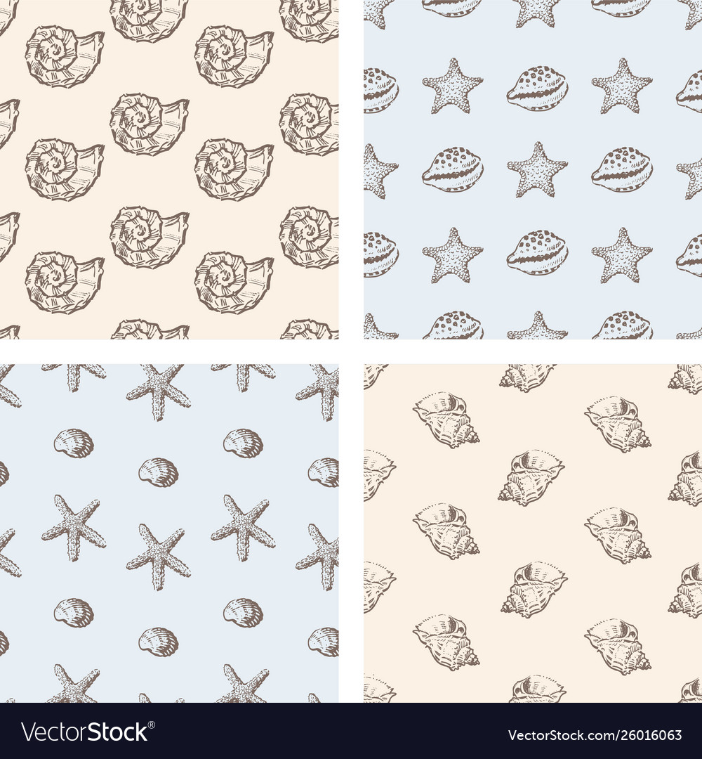 Pattern sea shells Royalty Free Vector Image - VectorStock