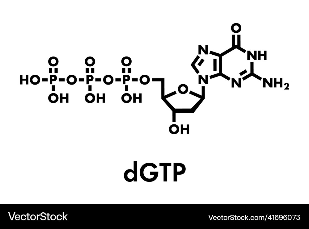 Deoxyguanosine triphosphate dgtp nucleotide Vector Image