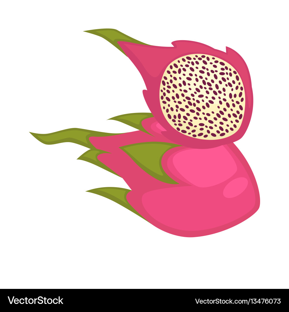 Pitaya isolated on white background ripe pink Vector Image