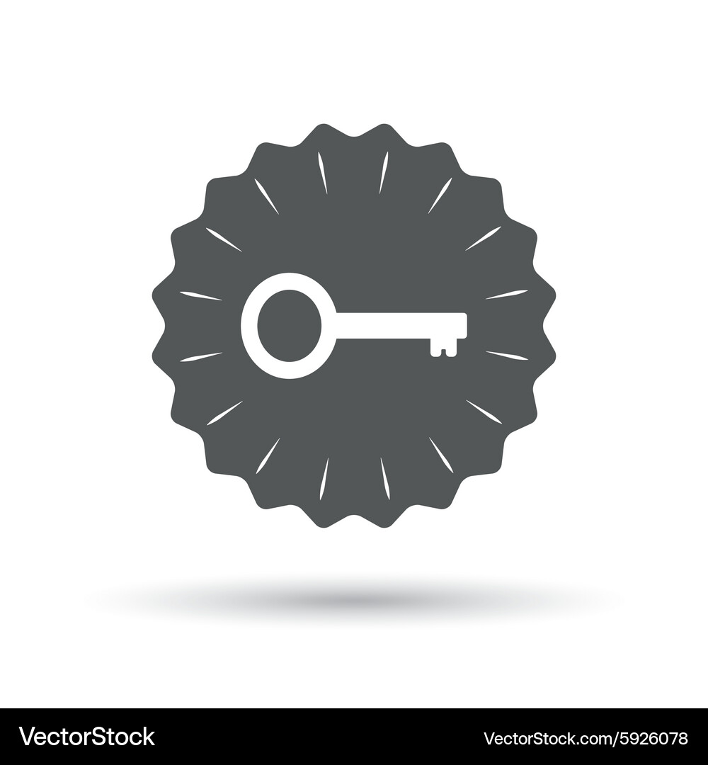 Key sign icon unlock tool symbol Royalty Free Vector Image