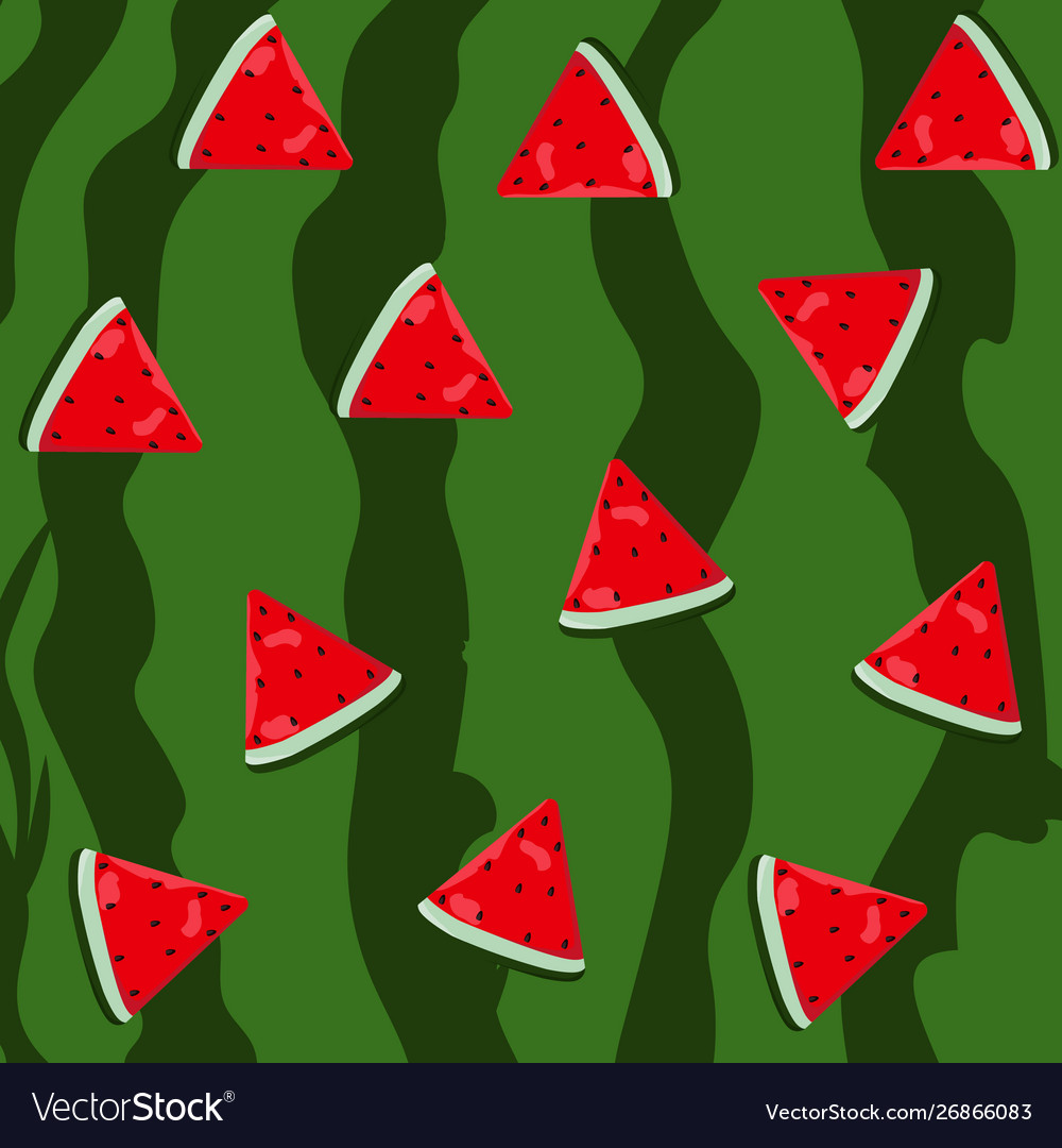 Fruit watermelon pattern design background Vector Image