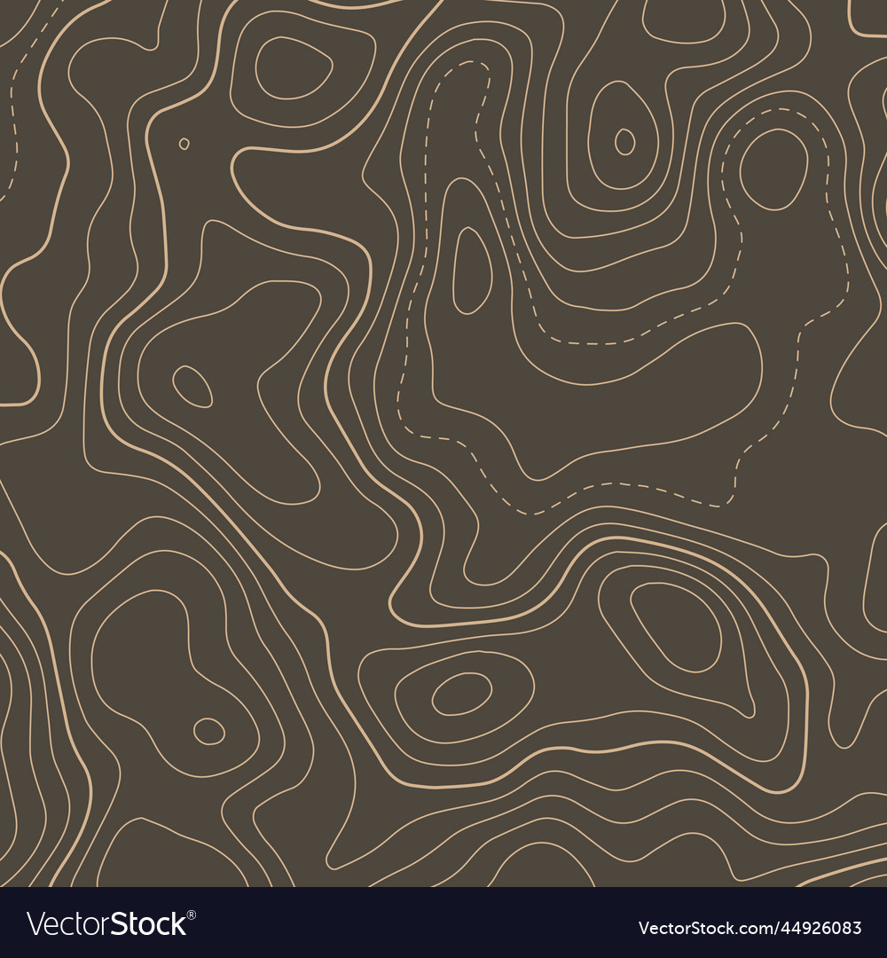 Topographic contour map elevation background Vector Image