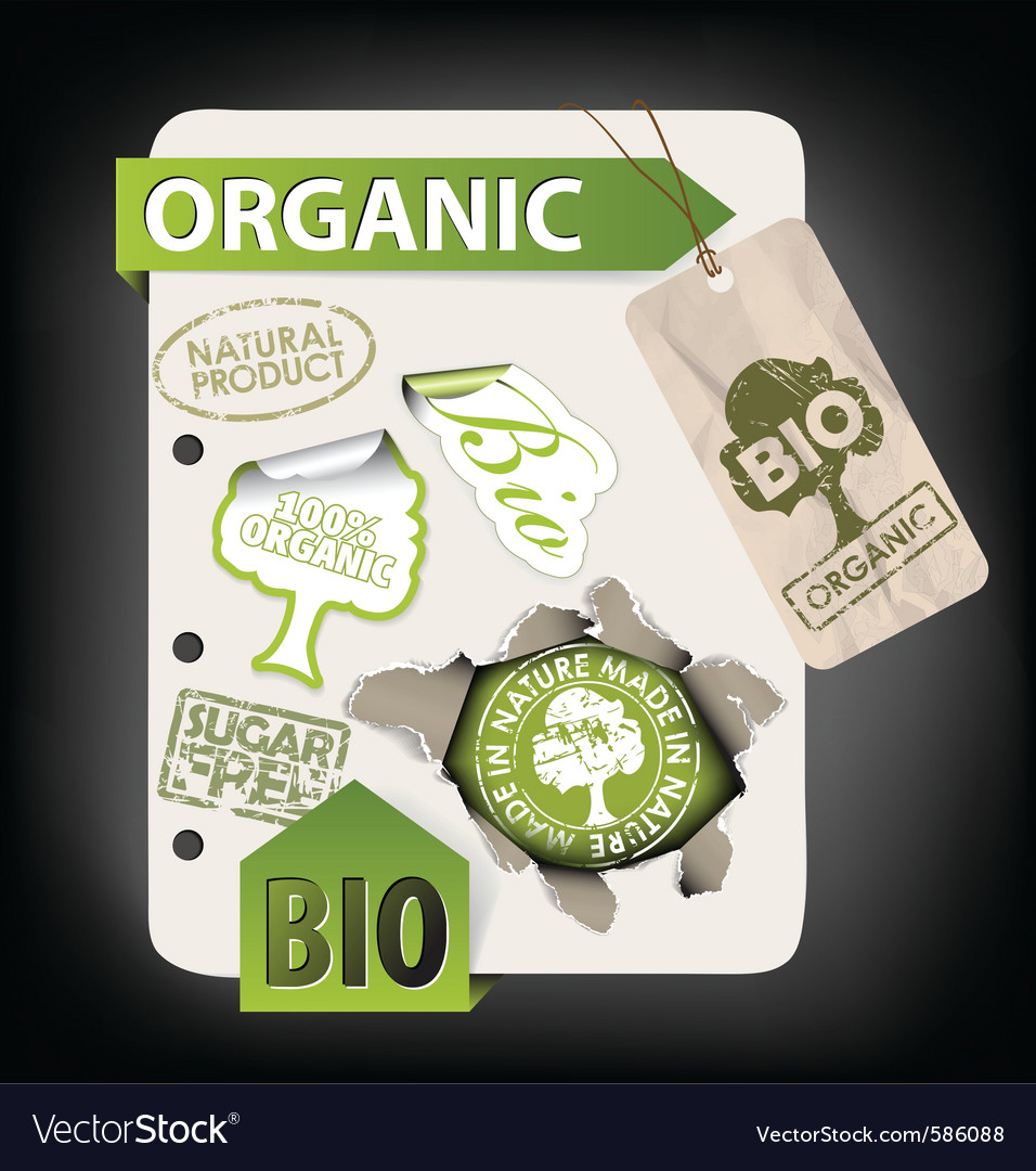 Organic elements Royalty Free Vector Image - VectorStock