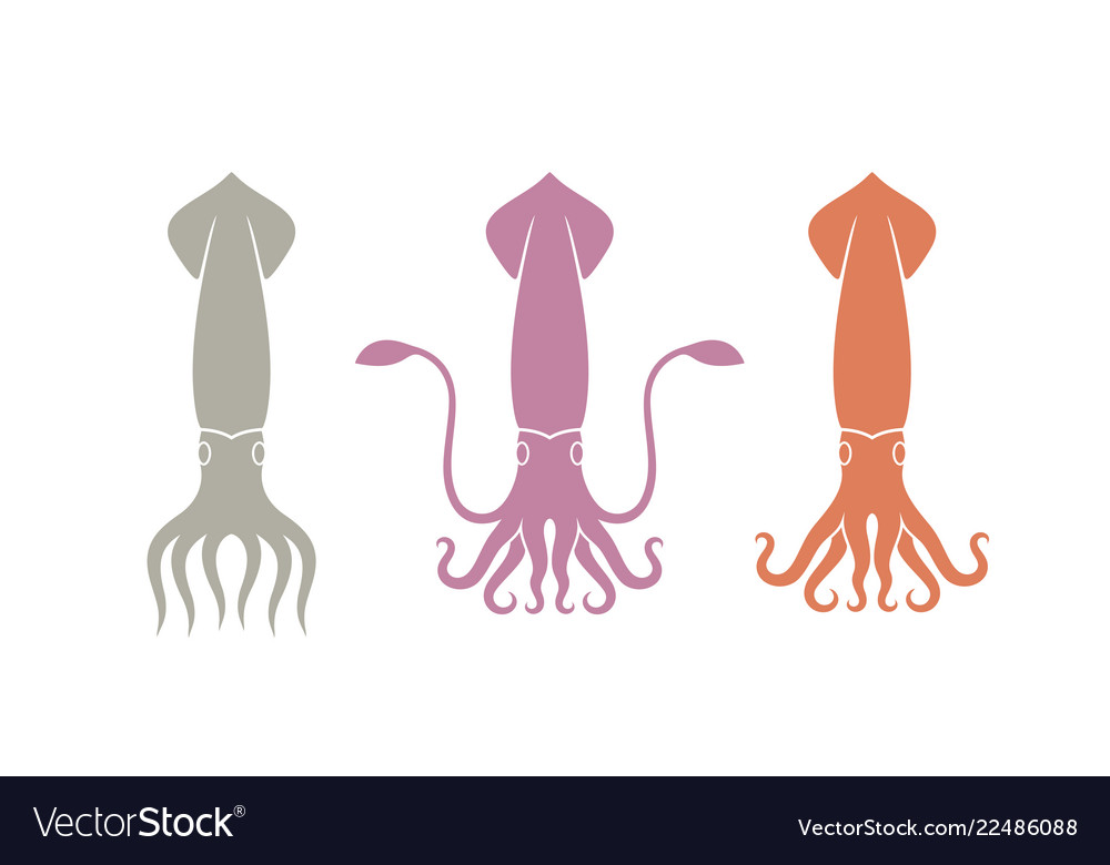 Squid Royalty Free Vector Image - VectorStock