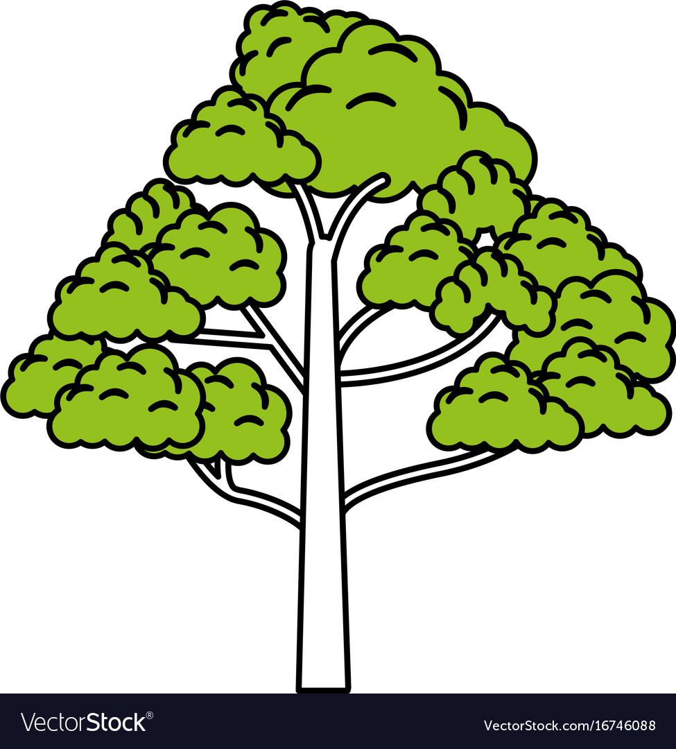 Tree Royalty Free Vector Image - VectorStock